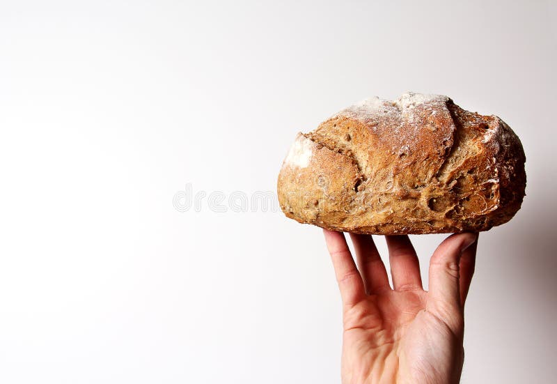 One Loaf Right Up stock photo. Image of brown, loaf, fresh - 38582534