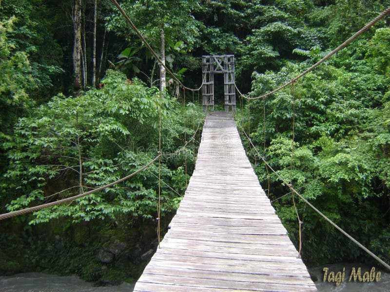 Handmade Bridge from Tree Trunks and Branches Stock Image - Image of ...