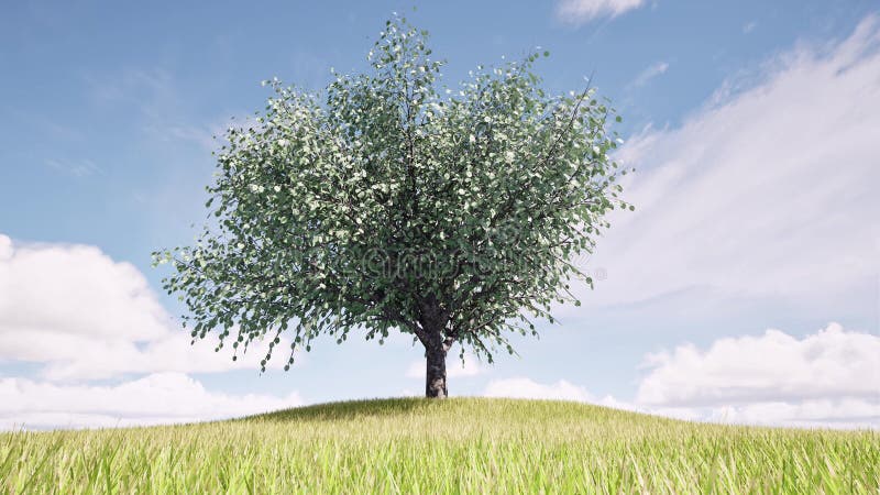 One Lonely Tree on a Grassy Hill 3d Stock Illustration - Illustration ...
