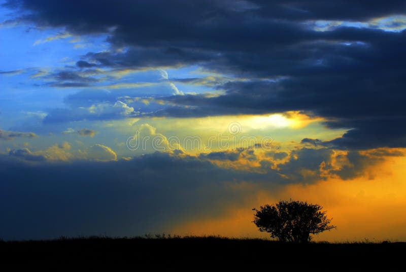 One of the lonely tree stock image. Image of autumn, lonely - 41328015