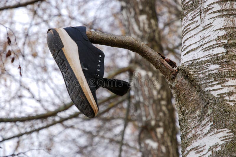 Missing One Shoe Stock Photos - Free & Royalty-Free Stock Photos from ...