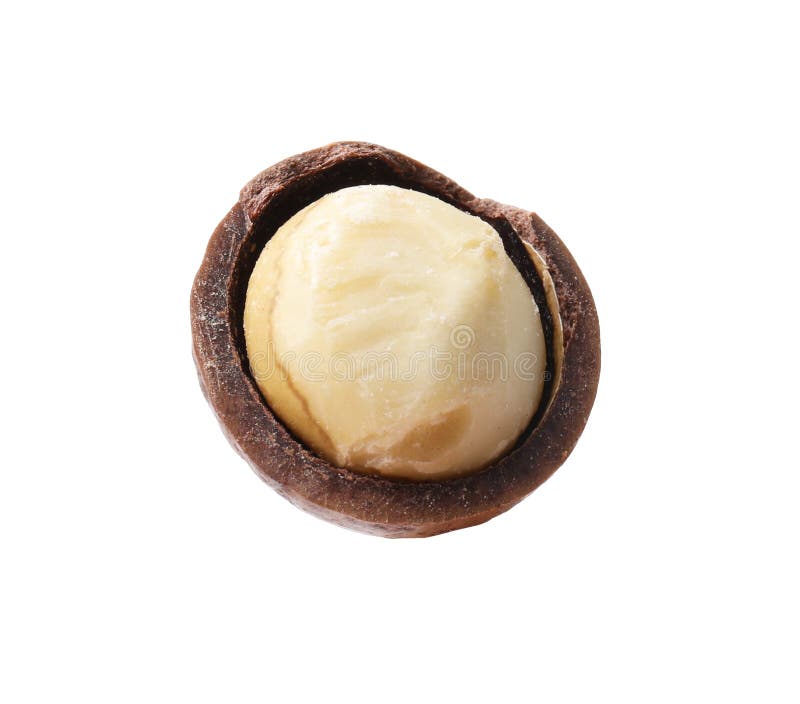 One Macadamia Nut with Shell Isolated on White Stock Photo - Image of ...