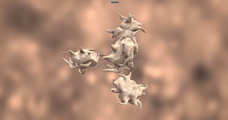 178 Blood Vessel Human Clot Stock Photos - Free & Royalty-Free Stock ...