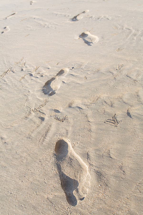 One man footstep stock photo. Image of beautiful, sand - 63653882