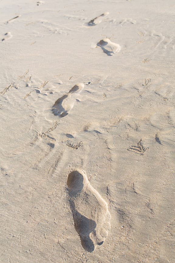 One man footstep stock photo. Image of beautiful, sand - 63653882