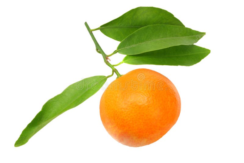 One Mandarin with Green Leaf Isolated on White Background Stock Photo ...