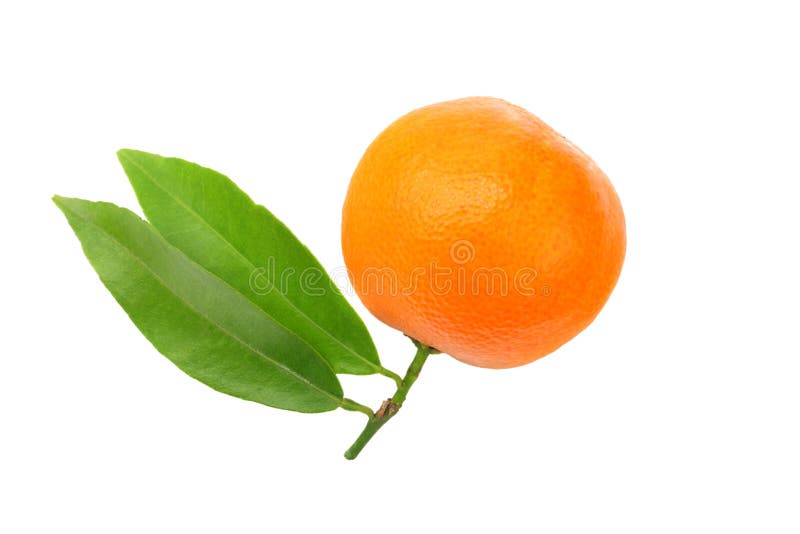 One Mandarin with Green Leaf Isolated on White Background Stock Image ...