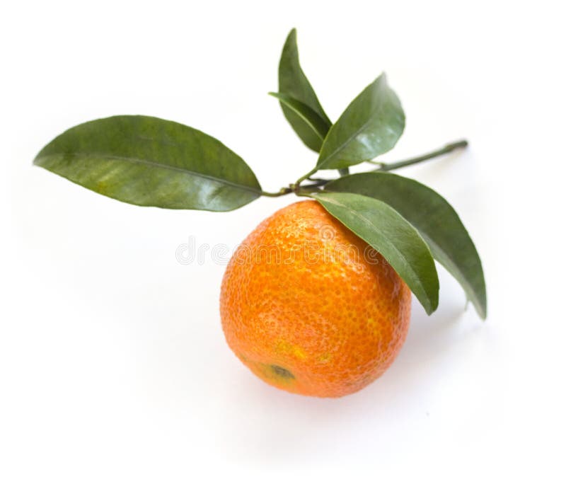 One Mandarin with Leaves Isolated on White Stock Photo - Image of color ...