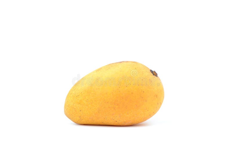 ONE MANGO stock photo. Image of white, fruit, fresh, golden - 70022572