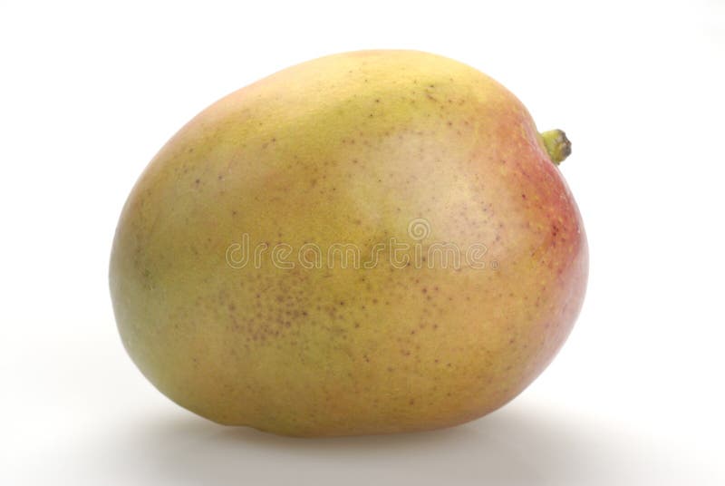 4,932 One Mango Photos - Free & Royalty-Free Stock Photos from Dreamstime