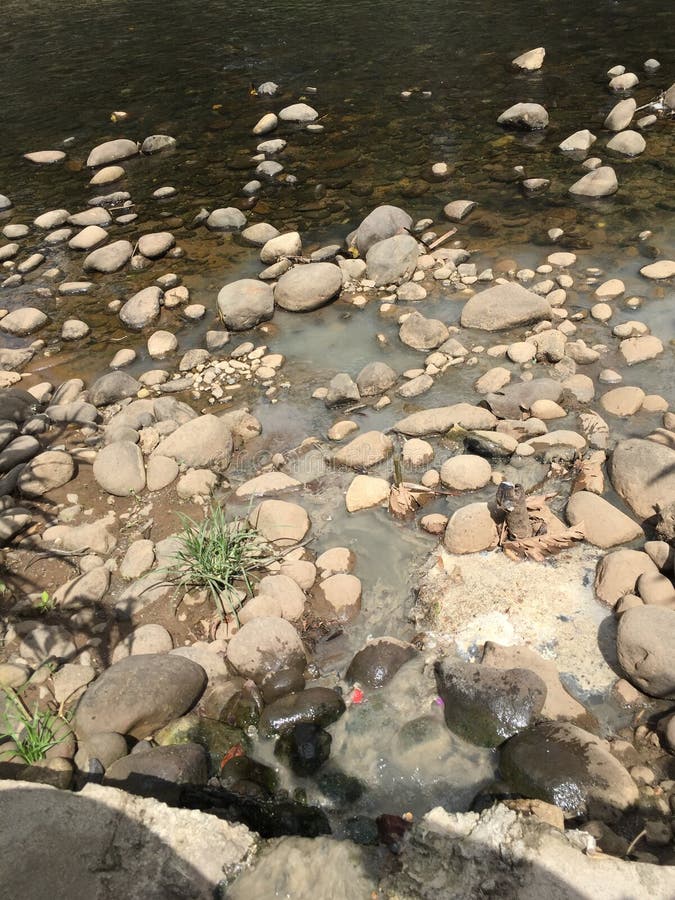 A Polluted River in a Mostly Deforested Part of the Rainforest because ...