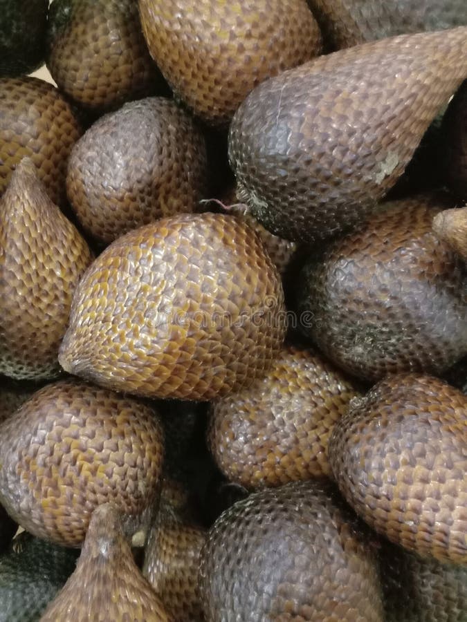 One of Many Fruit from Java Stock Image - Image of java, fruit: 168227855