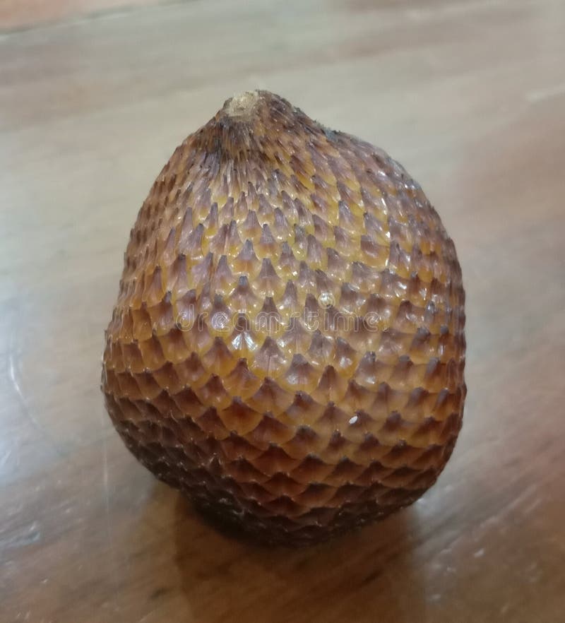 One of Many Fruit from Java Stock Image - Image of asia, java: 168229143