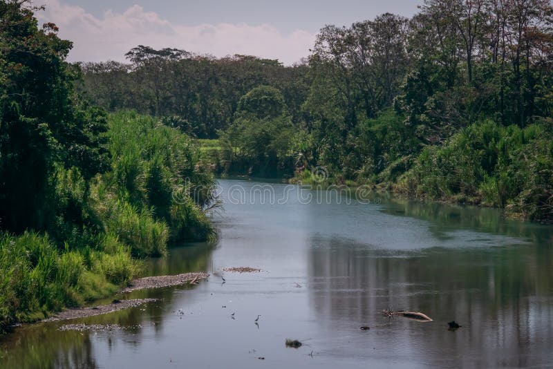 River canal in Costa Rica stock image. Image of rain - 178482839