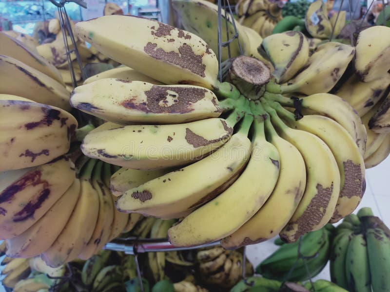 One of the Many Tipe of Banana Go Fruit in Indonesia Stock Photo ...