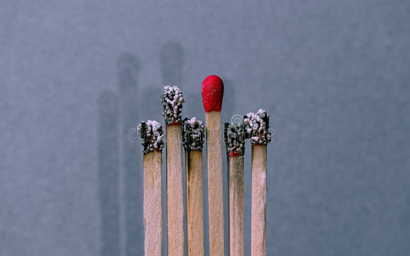 New Match among Burned Out Matches Stock Photo - Image of leadership ...