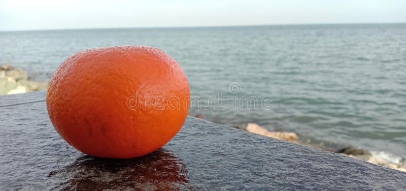 One Medium Sized Orange is Known To Meet the daily Requirement of ...