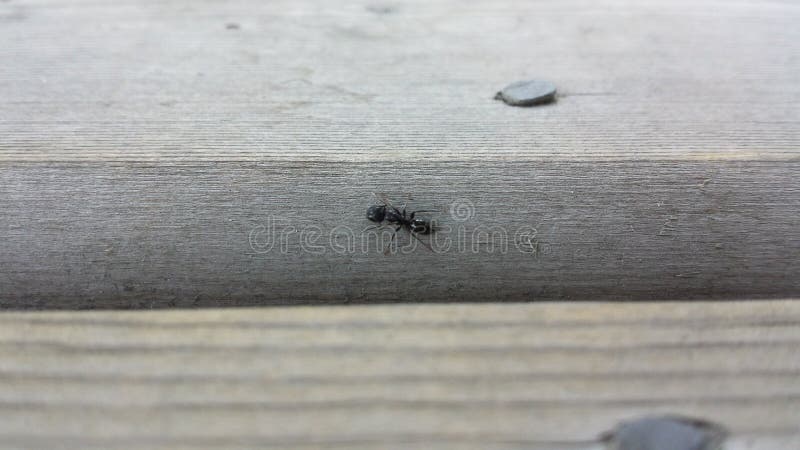 One in a million stock photo. Image of million, dock - 73701894