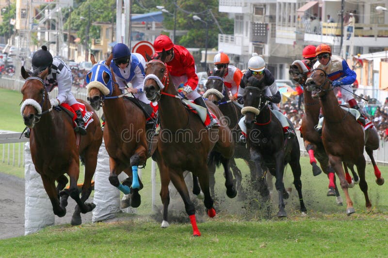 One more lap to go stock photo. Image of horses, sport - 367266