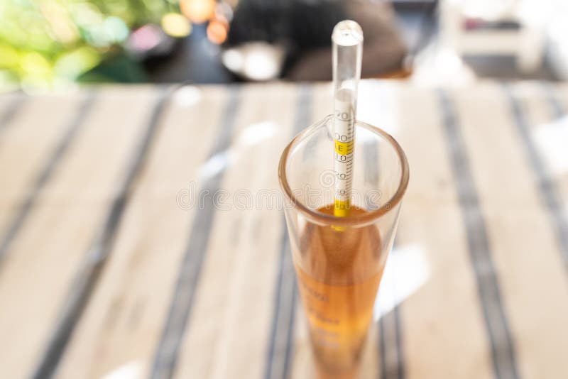 Home brew hydrometer stock photo. Image of bottle, liquid - 83772288