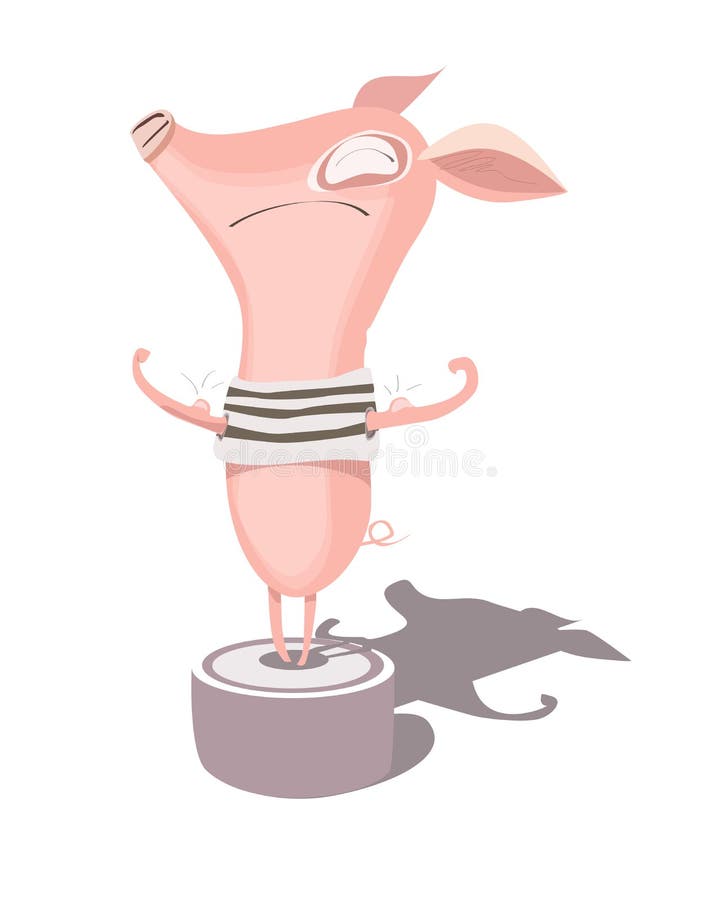 Bodybuilder pig stock illustration. Illustration of cartoon - 13251380