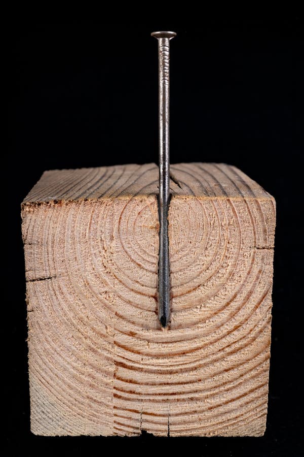 One Nail Embedded in a Piece of Wood Shown in Cross-section. Carpentry ...