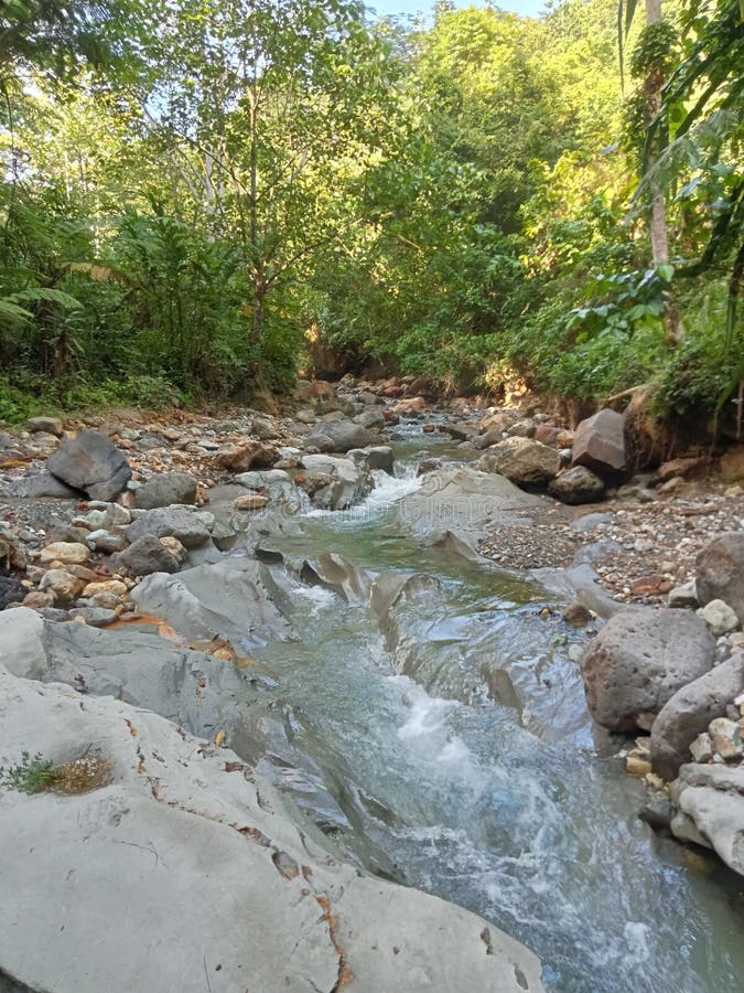 One of the Natural Beauties in the Middle of the Forest, Which Can Help ...