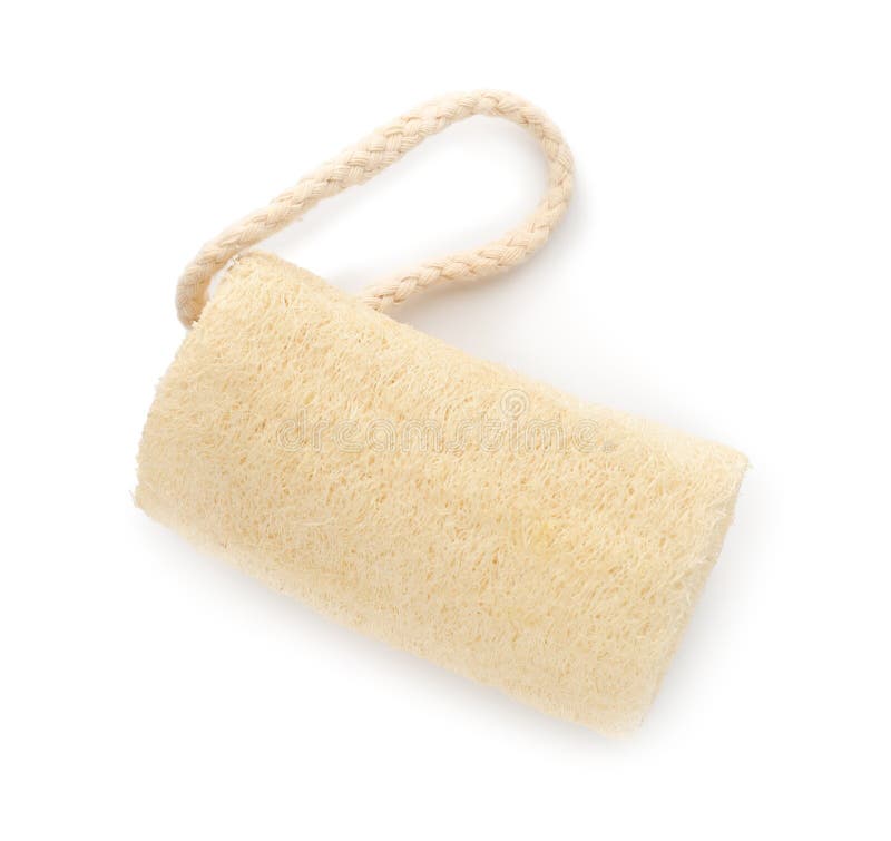 One Natural Loofah Sponge Isolated on White, Top View Stock Image ...