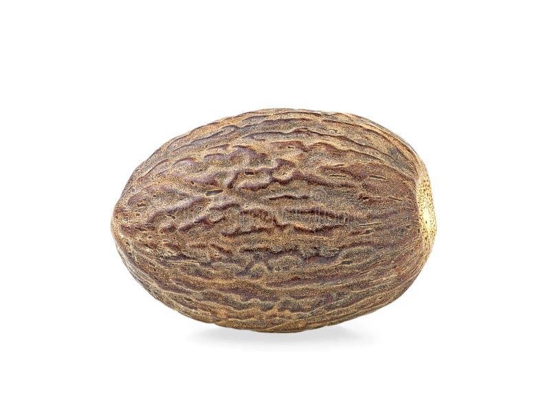 One Nutmeg Isolated on White Background. Macro of Nutmeg Stock Photo ...
