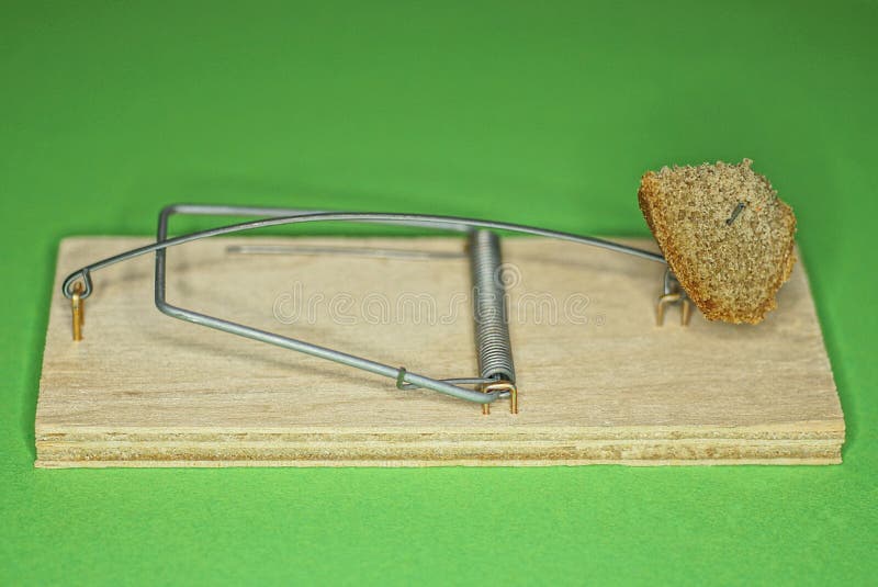 One Old Brown Mouse Trap with a Piece of Bread Stock Photo - Image of ...