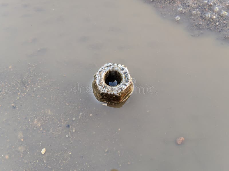 One Old Nut in a Muddy Puddle Stock Photo - Image of pattern, puddle ...