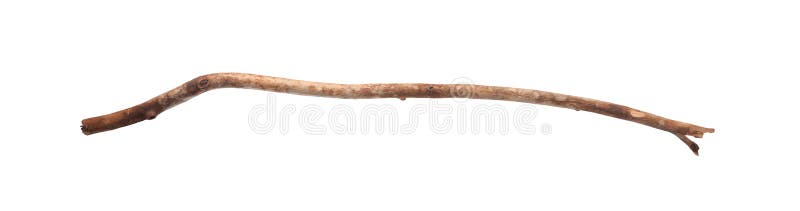 One Old Wooden Stick Isolated on White Stock Photo - Image of brown ...