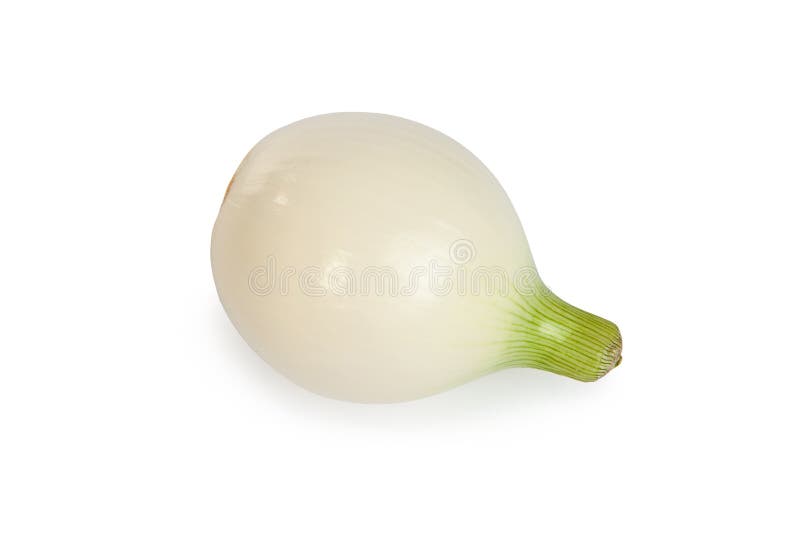 One Onion, Isolated on White Stock Photo - Image of freshness, healthy ...