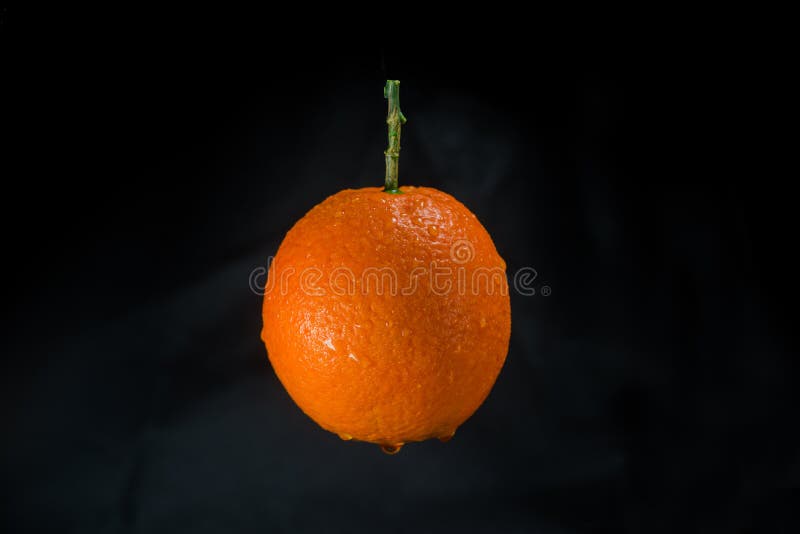 One Orange Isolated on Black Background Stock Photo - Image of black ...