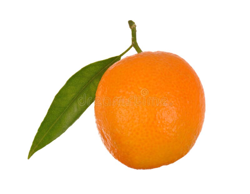 One orange with leaf stock photo. Image of healthy, tangerine - 22036040