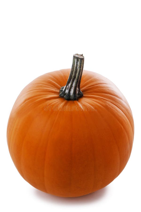 One orange pumpkin stock image. Image of food, pumpkin - 127670211