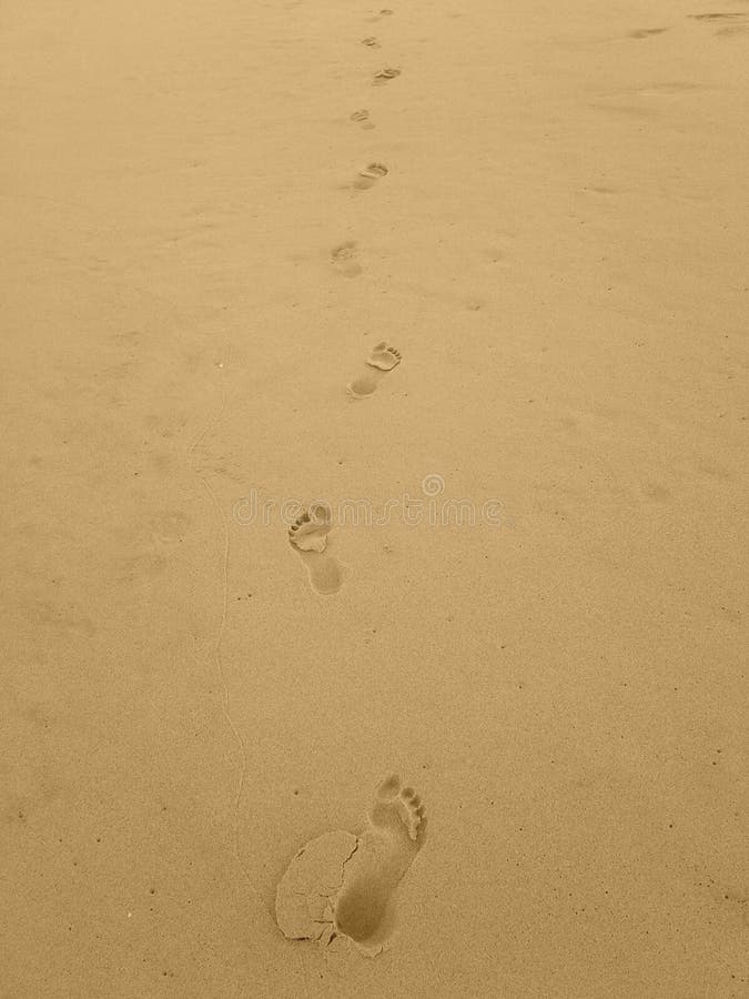 Bare Footprints in Very Soft Seasand in Vertical Orientation Stock ...