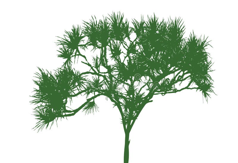 Green Silhouette of One Pandanus Trees Stock Vector - Illustration of ...