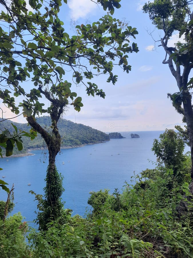 One of Paradise Place in Indonesia Stock Photo - Image of branch, pond ...