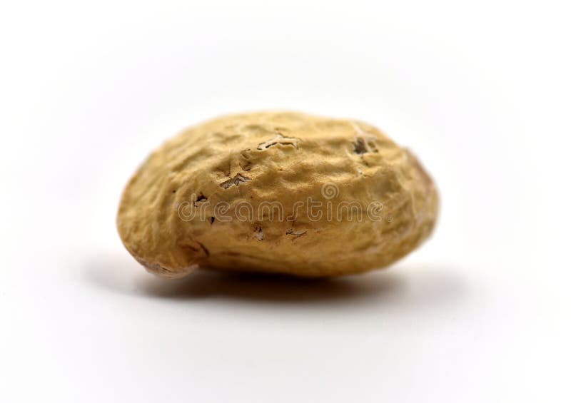 2,826 One Peanut Photos - Free & Royalty-Free Stock Photos from Dreamstime