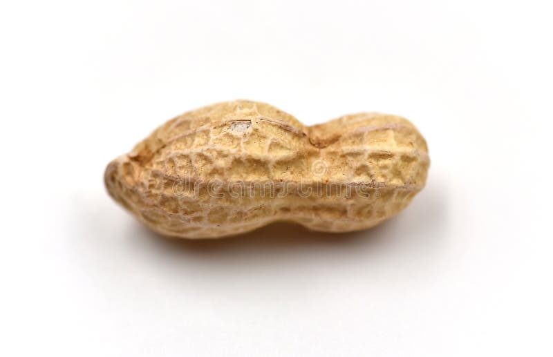 One Peanut Isolated stock image. Image of clipping, peanut - 85881501