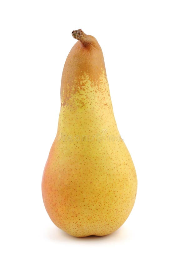 One pear stock photo. Image of eating, freshness, food - 3895914