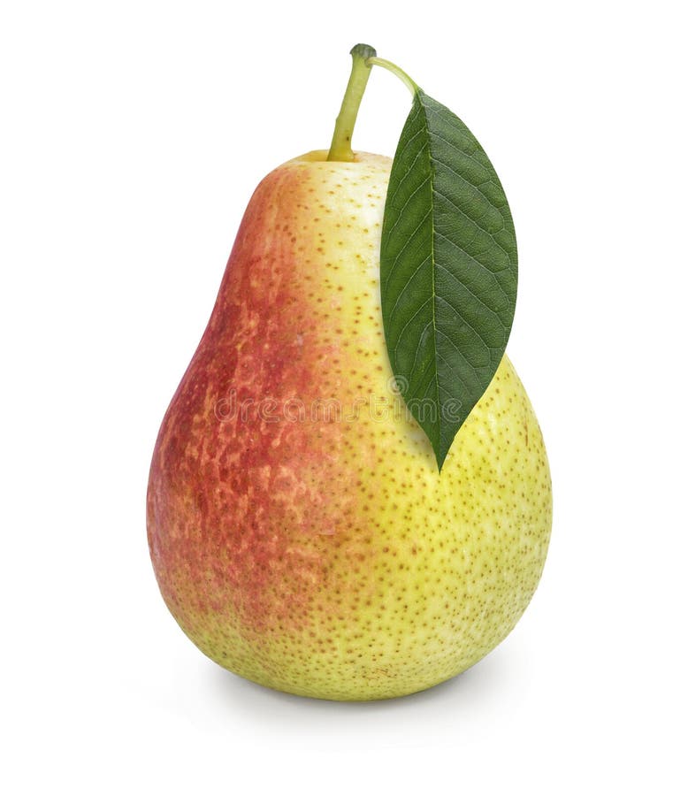 311 Split Pear Stock Photos - Free & Royalty-Free Stock Photos from ...