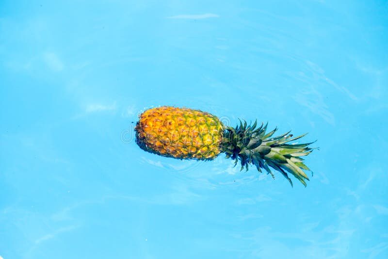 Pineapple Floating in Blue Water in Swimming Pool. Tropical Vacation ...