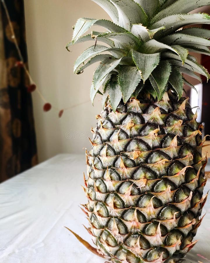 Only One Pineapple is Produced by a Single Plant in a Single Season ...