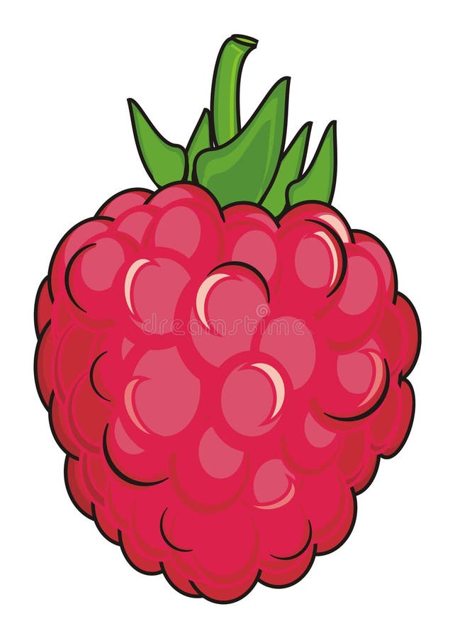 Raspberry One Stock Illustrations – 556 Raspberry One Stock ...