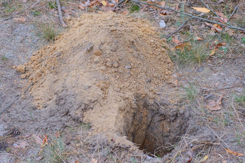One Pit in Gray Brown Round Sand in Nature Stock Photo - Image of heap ...