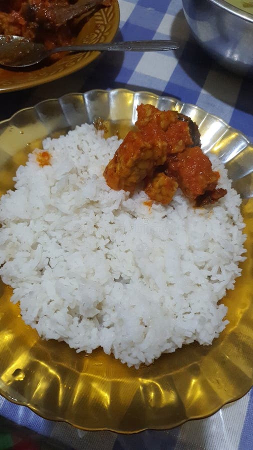 One Plate of White Rice Makes the Body Stamina Stock Image - Image of ...