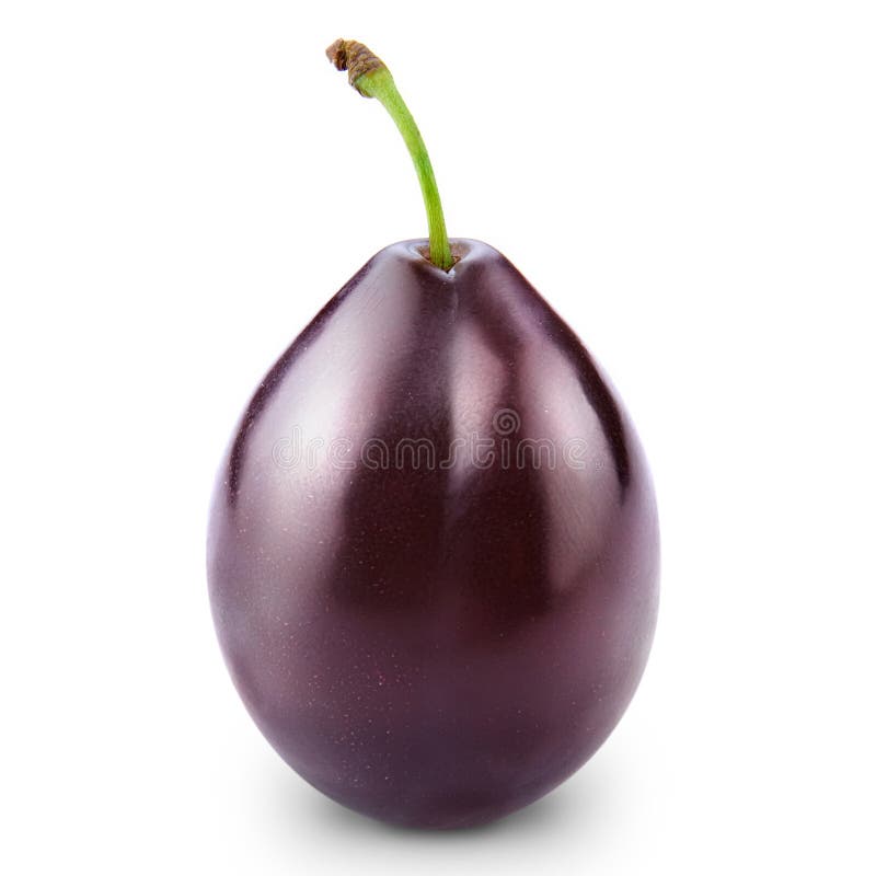 One plum stock image. Image of purple, blue, delicious - 25430559