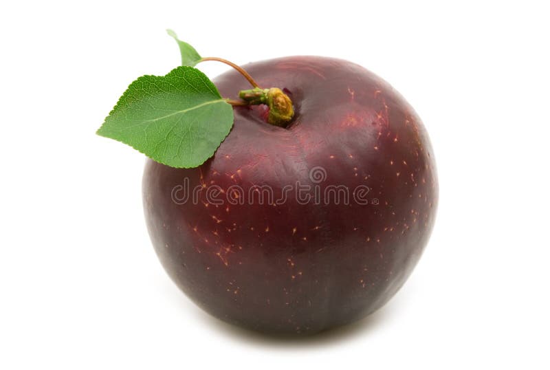 Plum isolated stock image. Image of plum, health, yellow - 1080719